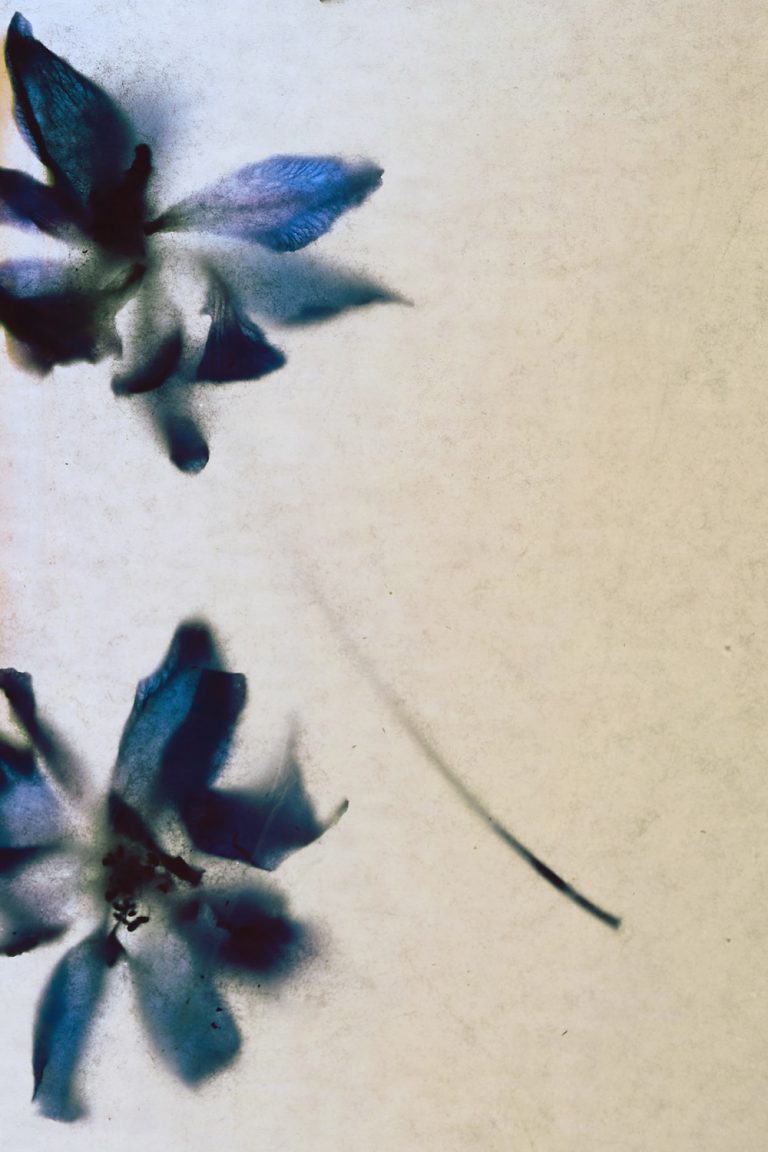 Lauréate Grand Prix - Prix Picto de la Mode 2023 : Annabelle Foucher ...