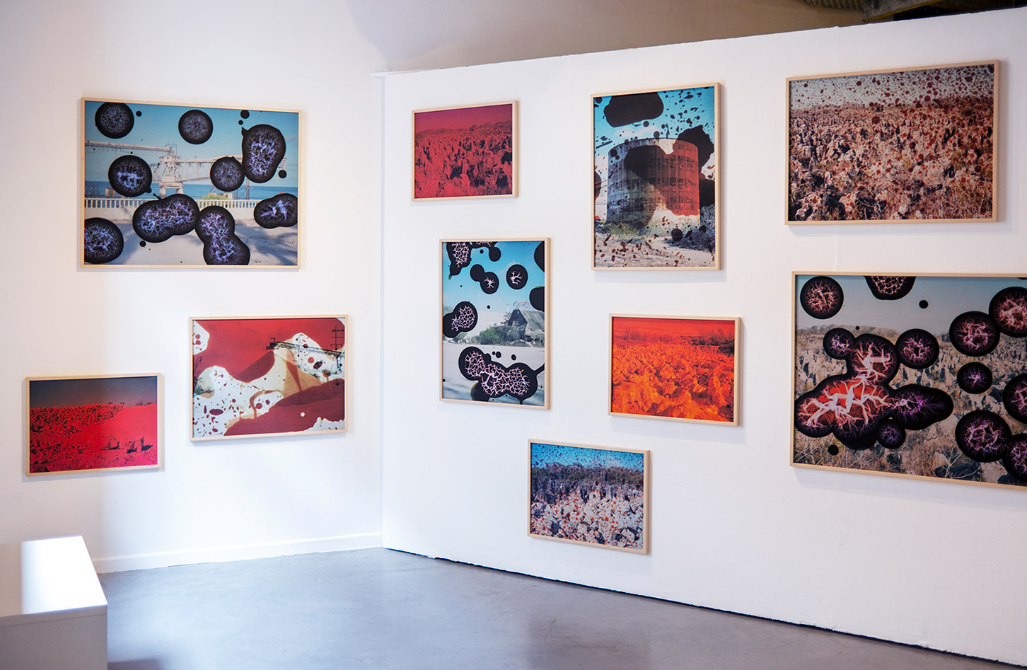 Les lauréats du Prix Photographie & Sciences exposés à Stimultania ...